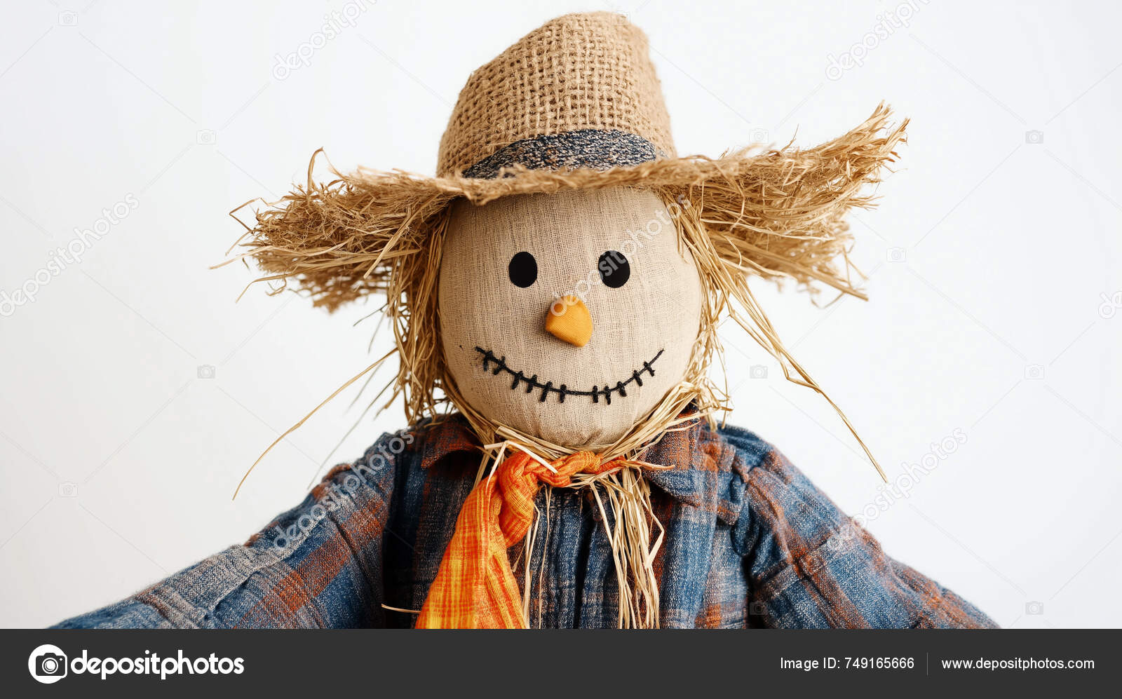 Cute Scarecrow Straw Hat Ready Guard Autumn Harvest Friendly Smile ...