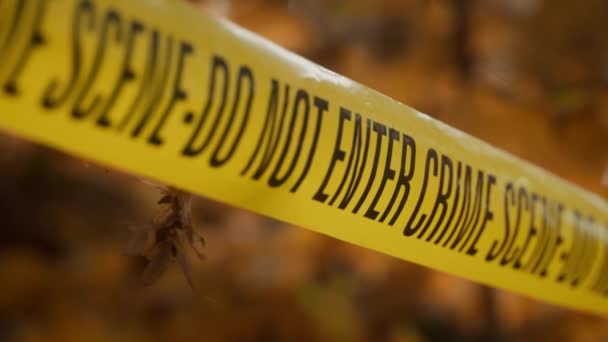 6,834 Groupe de police Videos, Royalty-free Stock Groupe de police ...