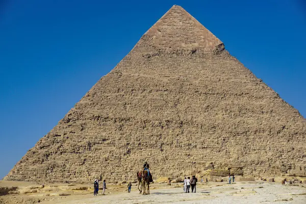 Día soleado brillante en la meseta de Giza con los camellos y la ...