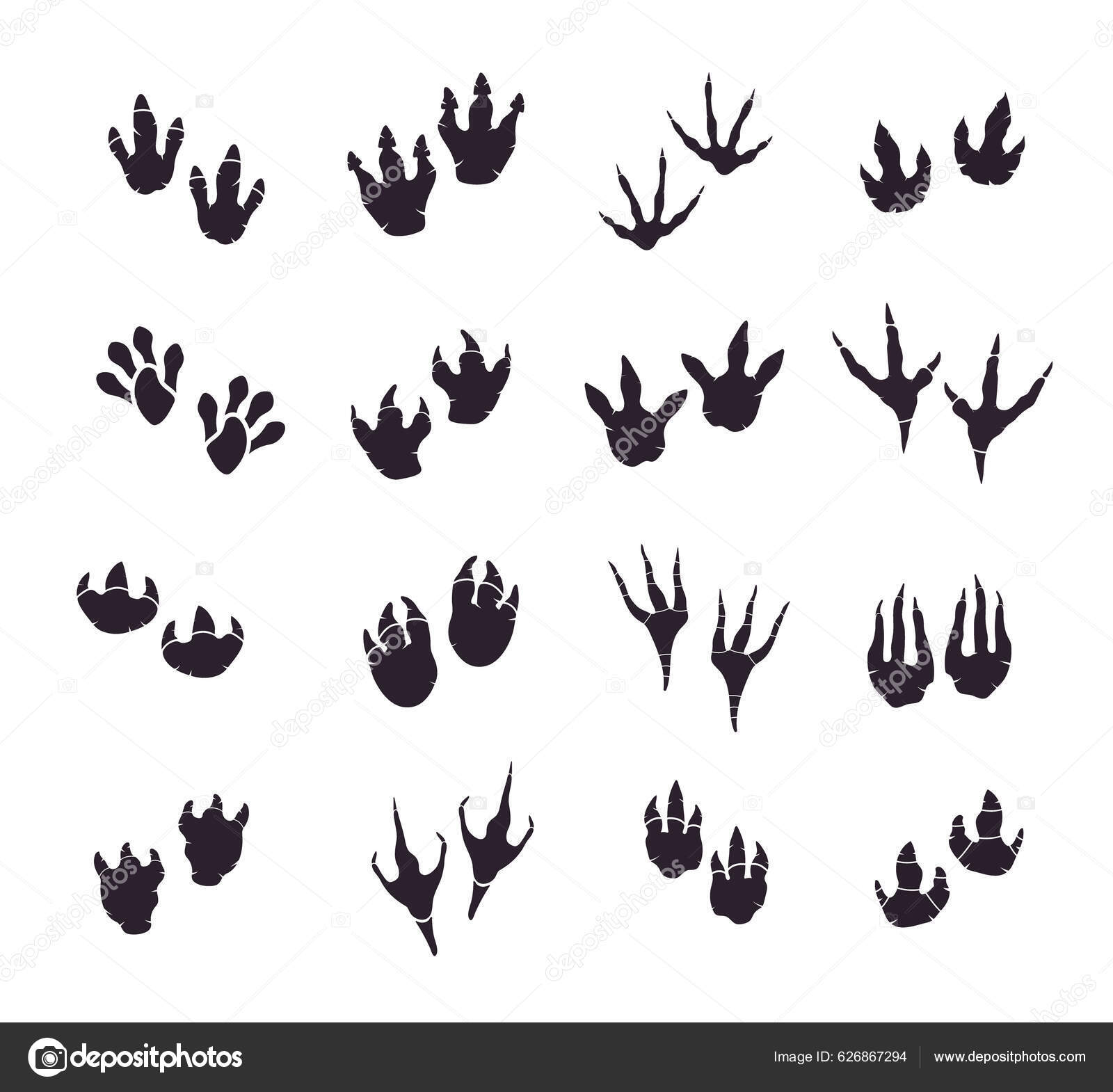 Dinosaur Footprint Outline