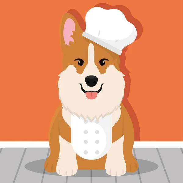 21,013,488 Corgi chef Vector Images | Depositphotos