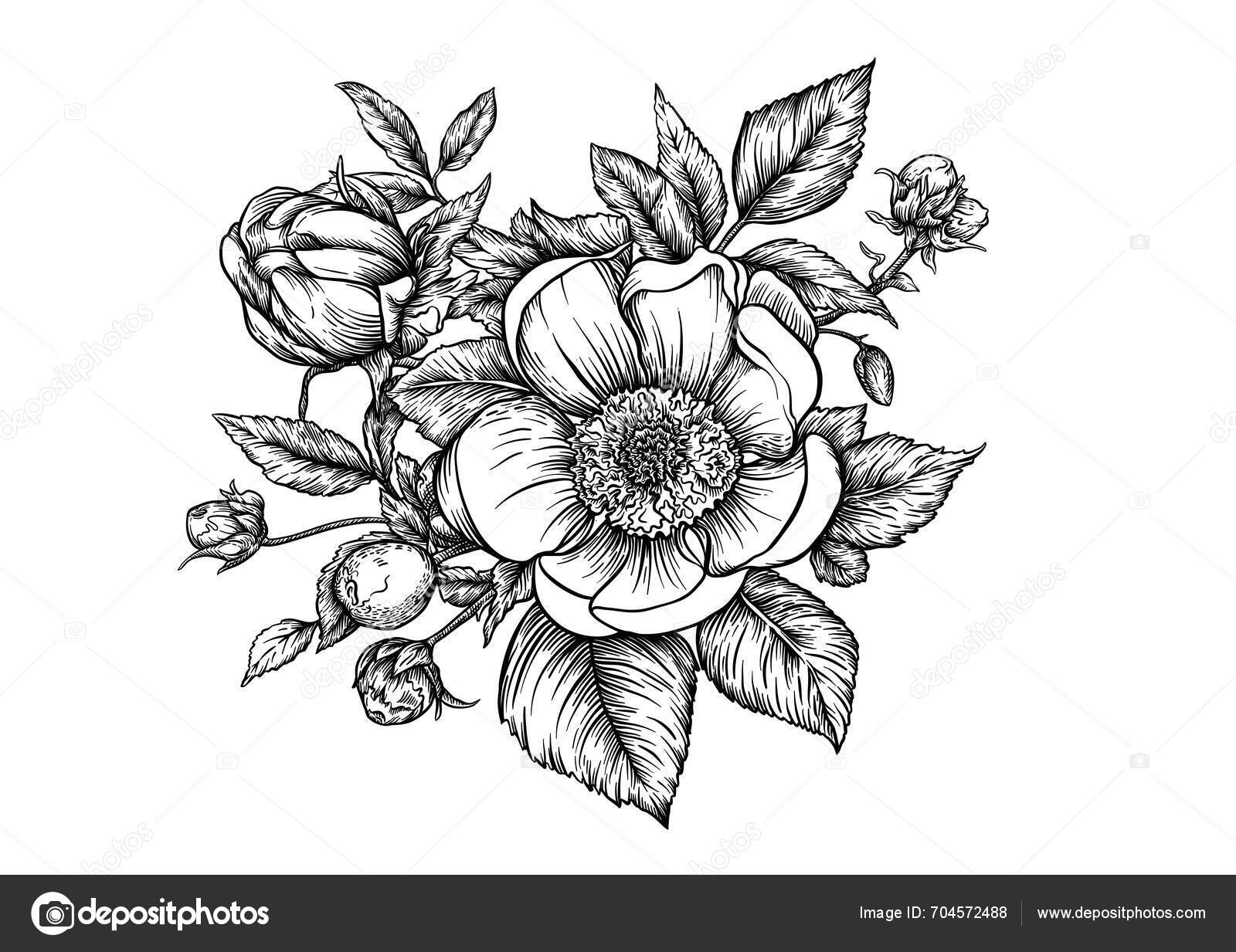 Boutonniere Wild Rose Flowers Berries Clip Art Set Elements Design ... Boutonniere Wild Rose Flowers Berries Clip Art Set Elements Design ...