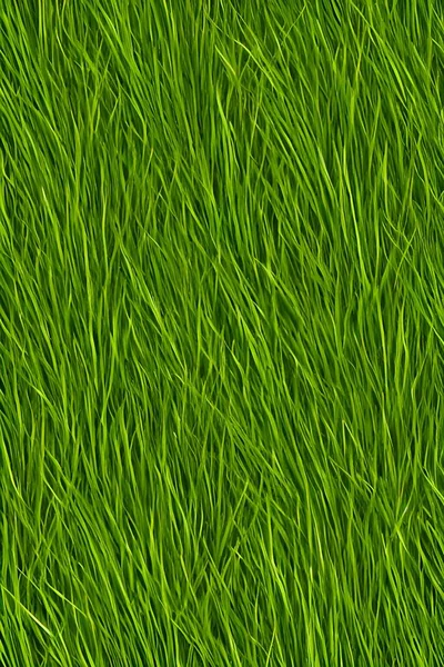 Texture, background and screensaver of green grass. - Stock Image ...