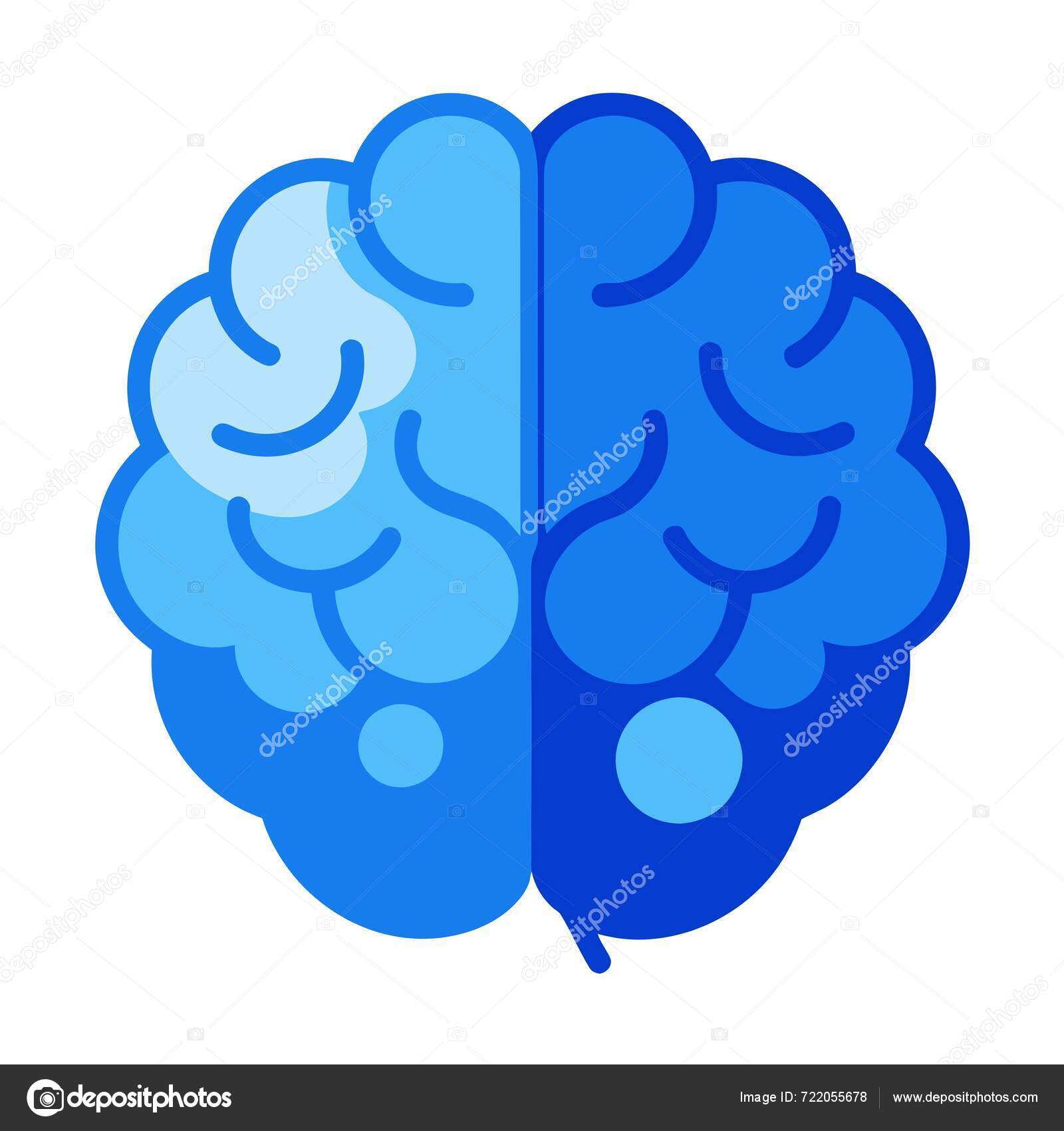 Blue Brain Divided Two Halves Showcased Clean White Background ...