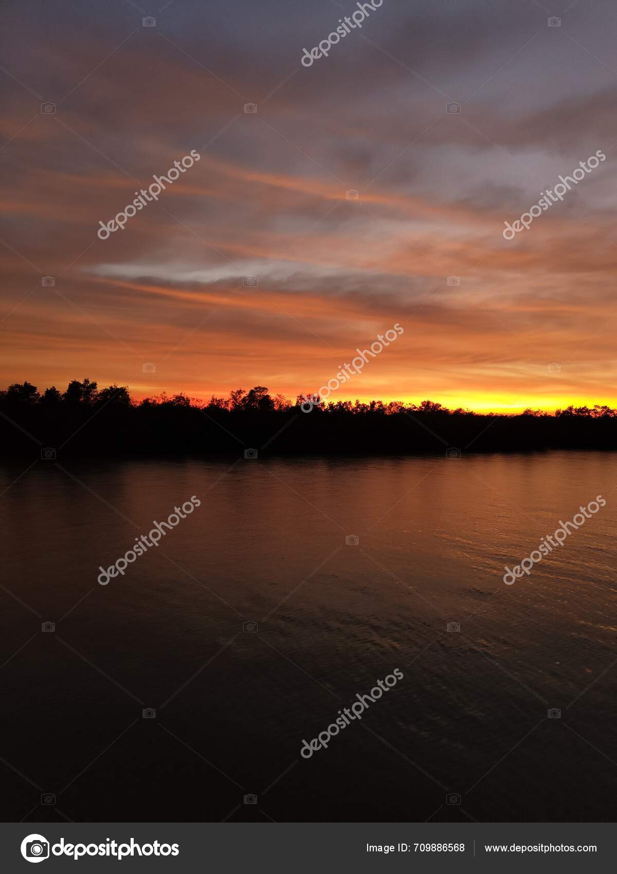 Sundarbans Unesco World Heritage Site Largest Mangrove Forest World ...
