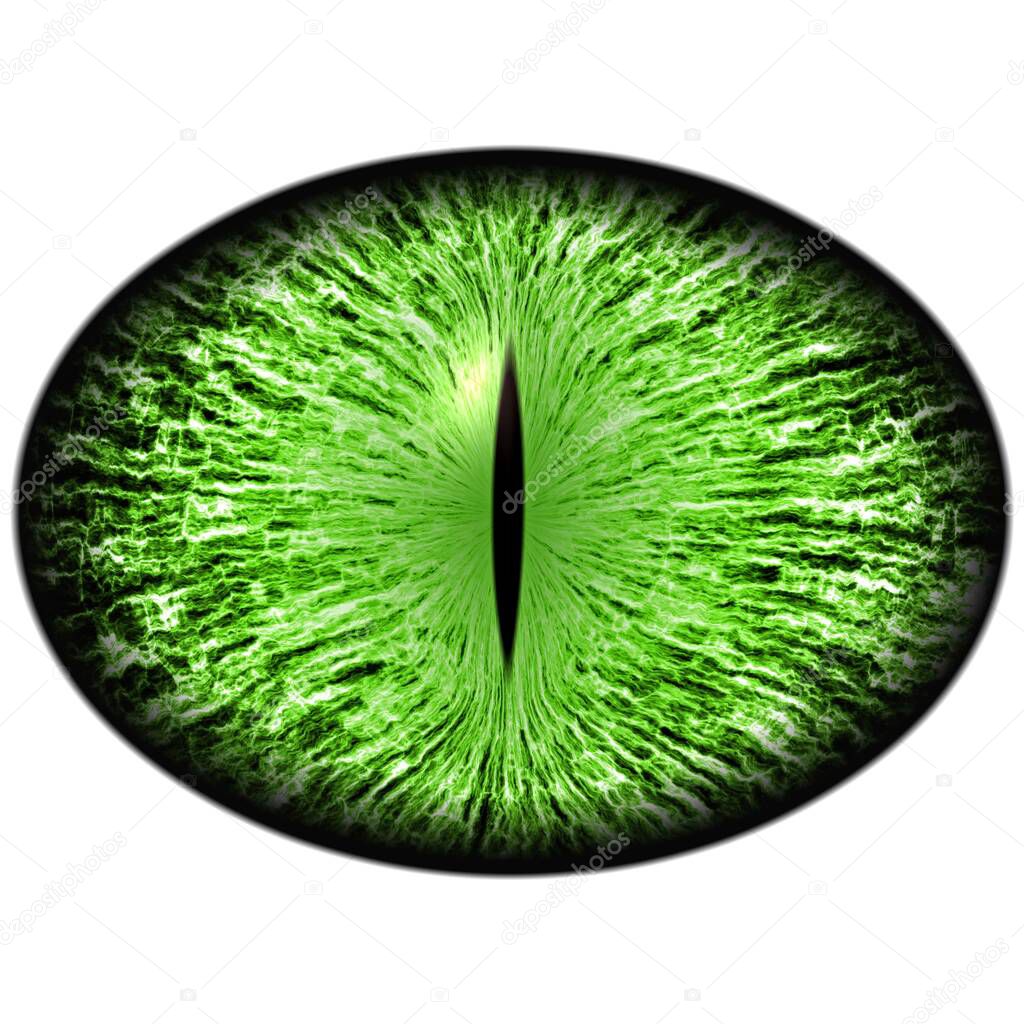 Bombilla de ojo verde claro de animal. con pupilo elíptico. Iris ...