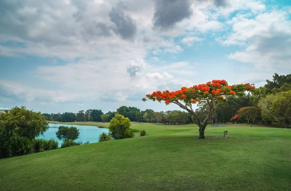 Panoramic view of the beautiful Glades Golf Course, one of Australias ...