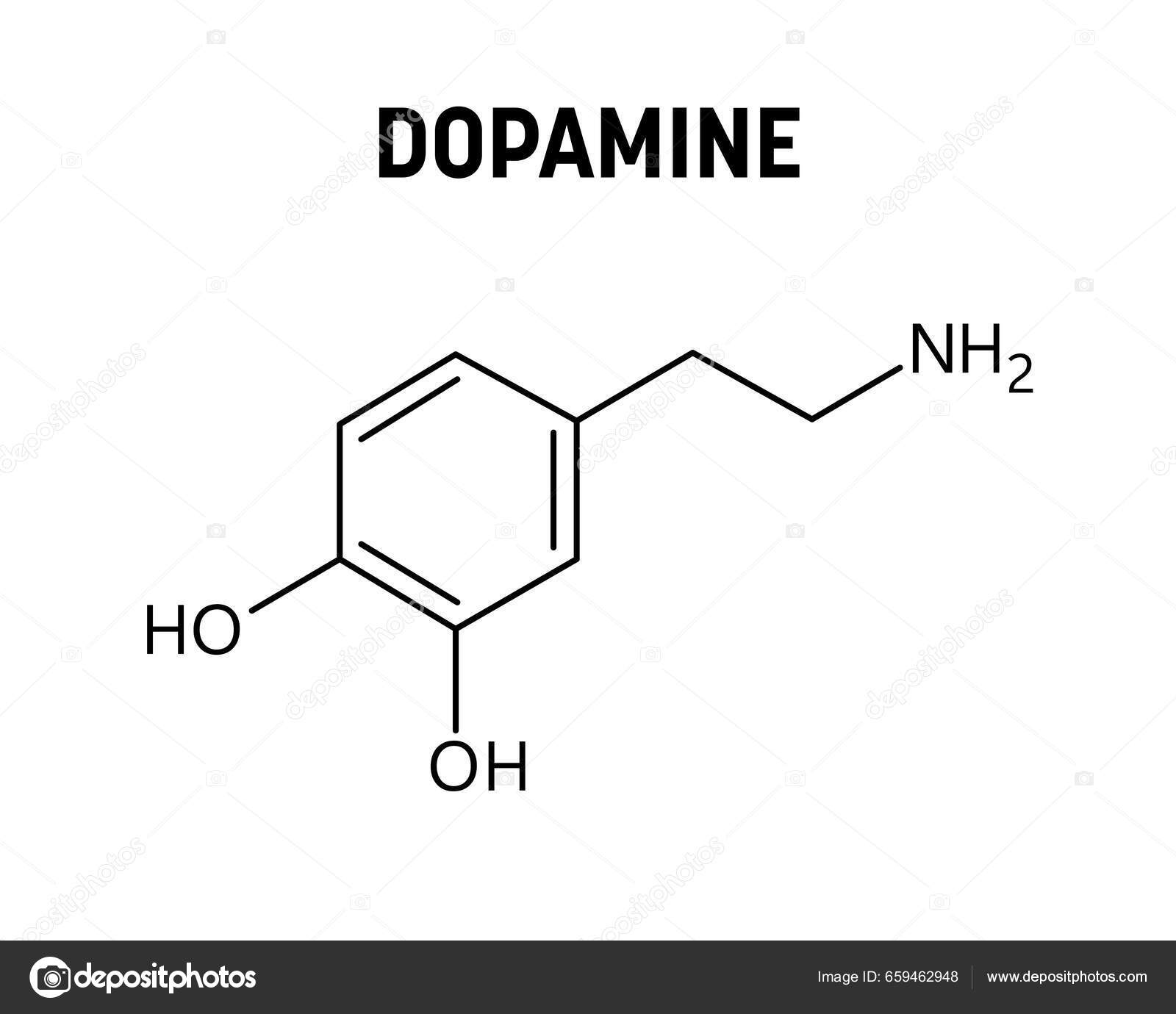 Dopaminmolekulare Struktur Dopamin Ist Ein Neurotransmitter Der ...