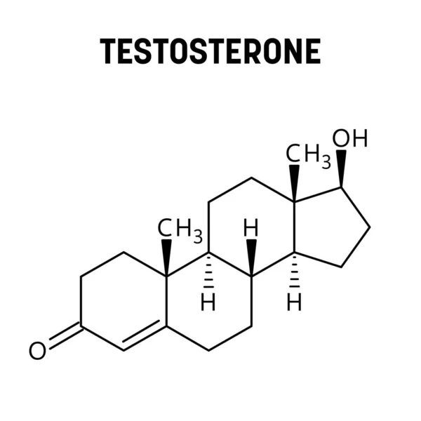 Structure Of Testosterone