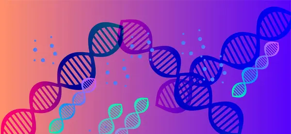 22,361,564 Dna humano Vector Images | Depositphotos