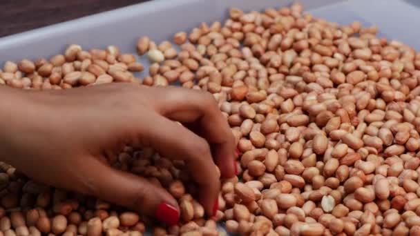 79 Peanut picking Videos, Royalty-free Stock Peanut picking Footage ...