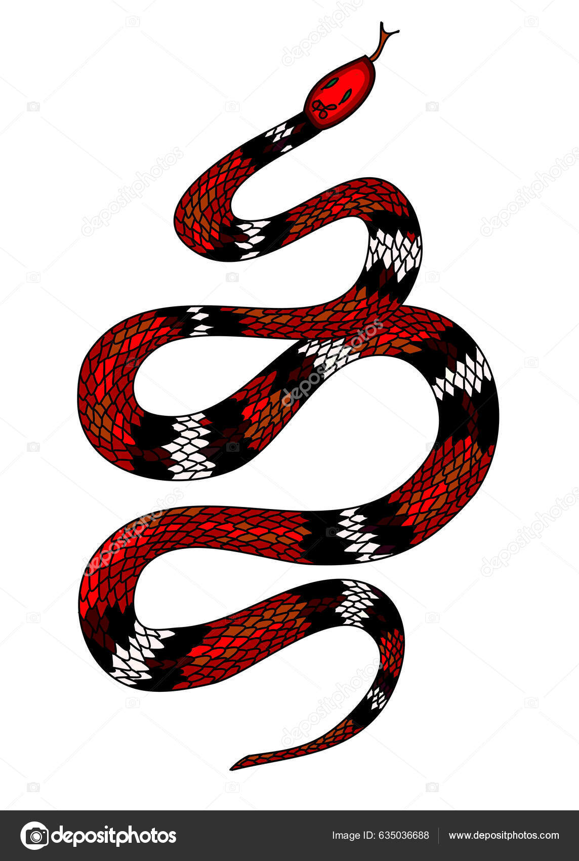 Red Snake Vector Lampropeltis Triangulum Vector Sticker Hand Drawn ...
