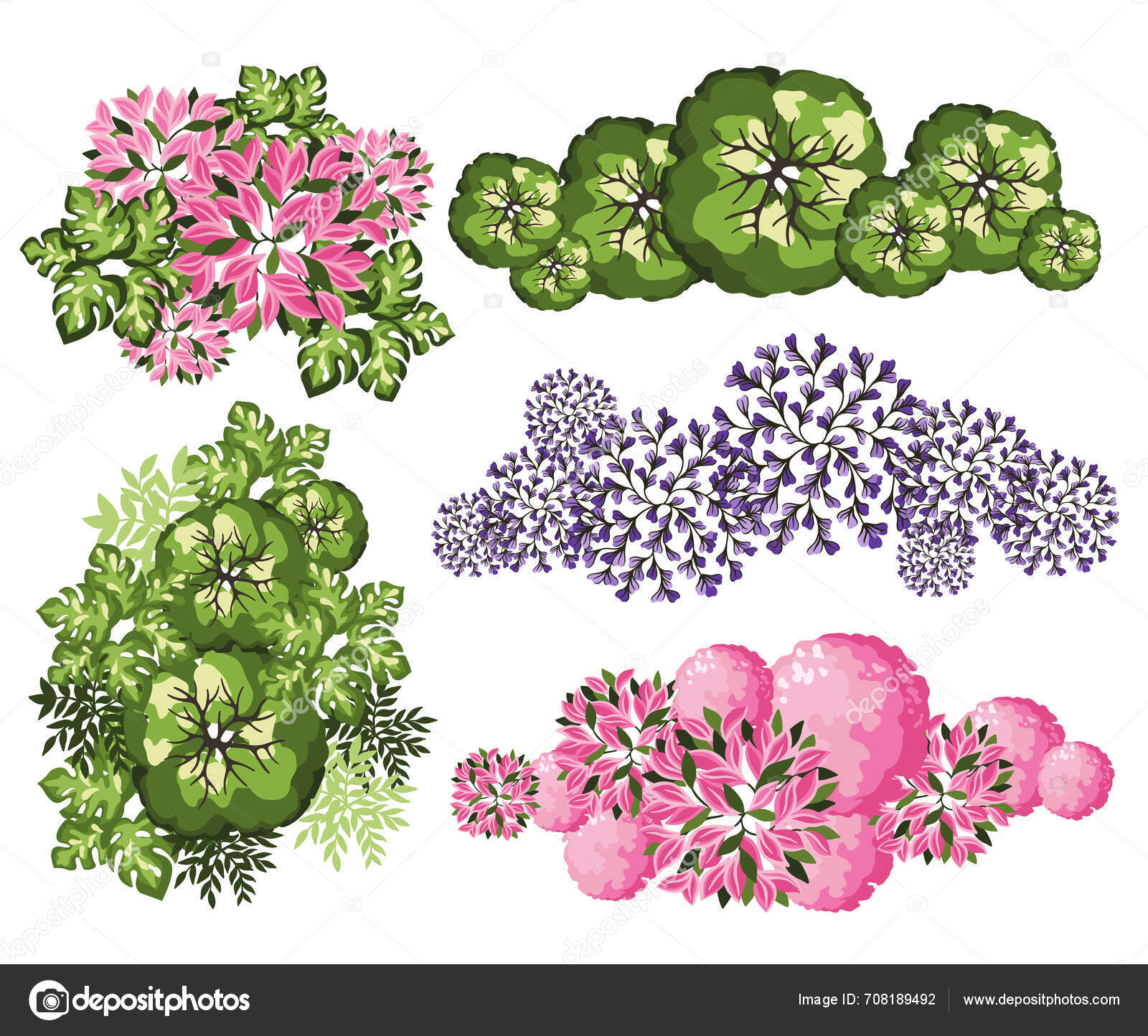 Tree Architectural Floor Plans Entourage Design Various Trees Bushes ...