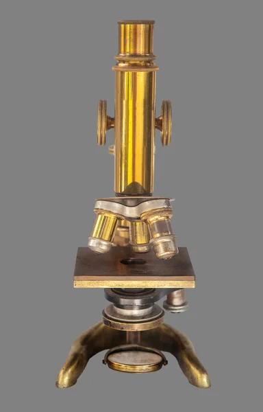 Renaissance Microscope