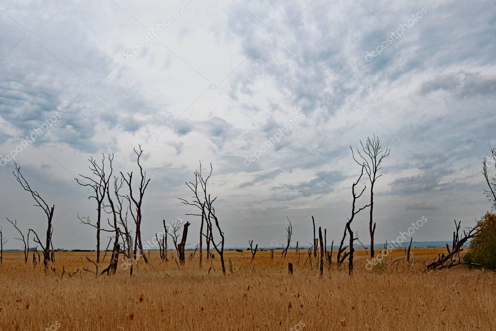 Alkborough flats es un sitio excelente para la observación de aves y la ...