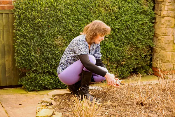 Glamourous Brunette Lady Pictured Proudly Standing Camelias Just Coming ...