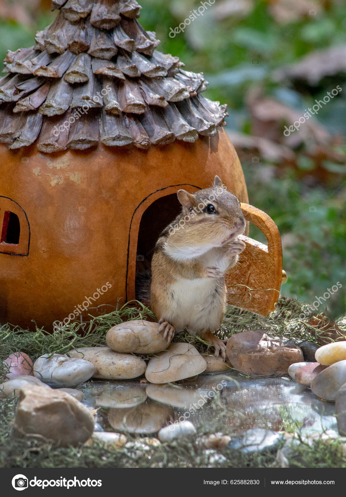 Chipmunk Home