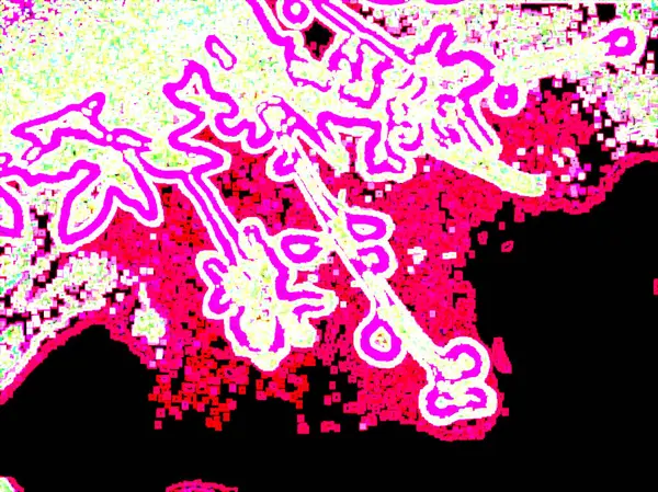 2,000,000+ imágenes de Stfu tcha funk thik subh funk stf c uddinhu ...