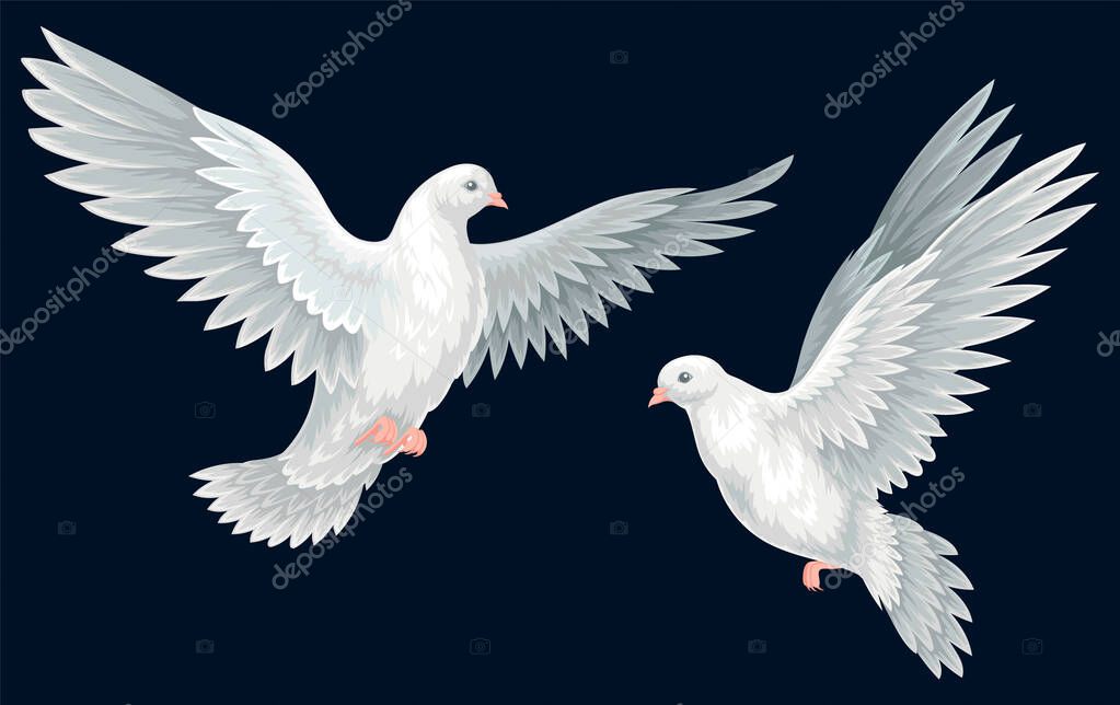 Hermosas palomas blancas. Cartel con dos pájaros simbolizando paz y ...