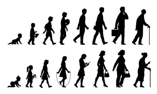 Human age Vector Images | Depositphotos