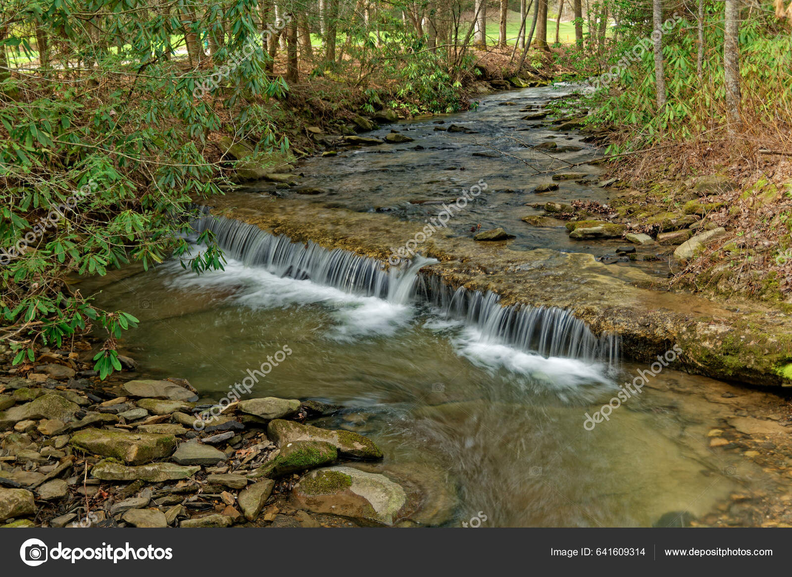 Wide Creek Small Waterfall Full Rocks Boulders Alongside Trail Forest ...