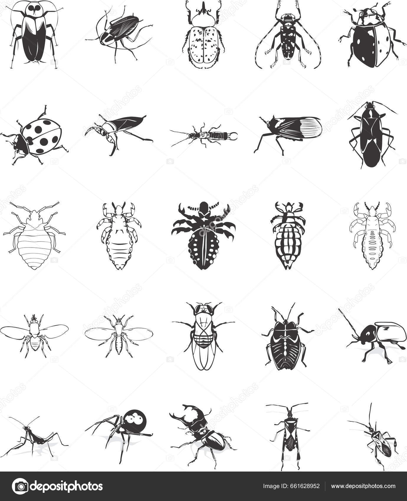 Tjugo Släta Vektor Clipart Illustration Olika Insekter vektor av ...