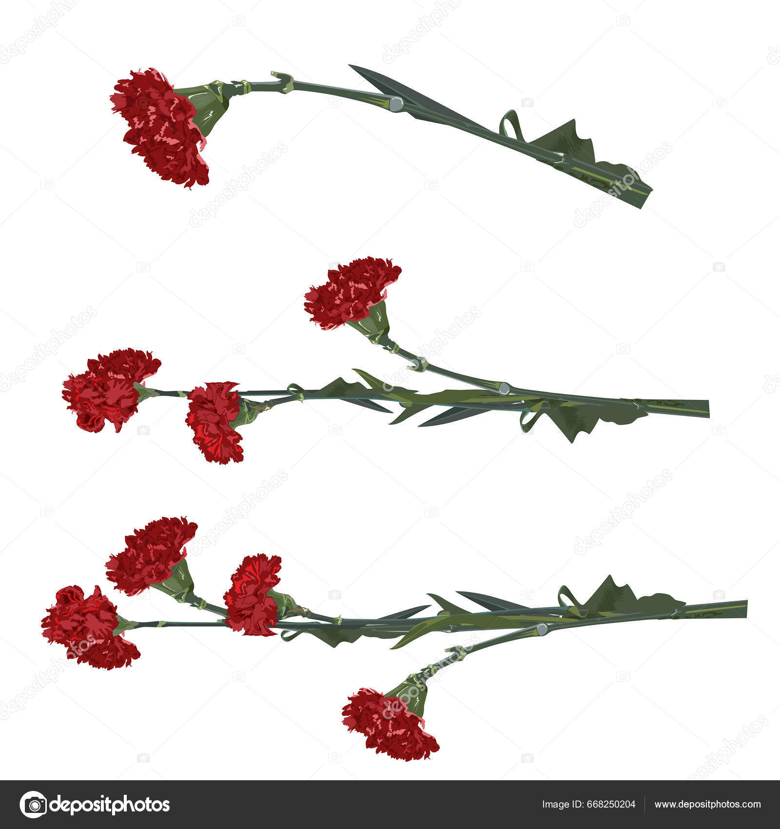 Flores Rojas Vector Ilustración Vector de stock #668250204 de ...