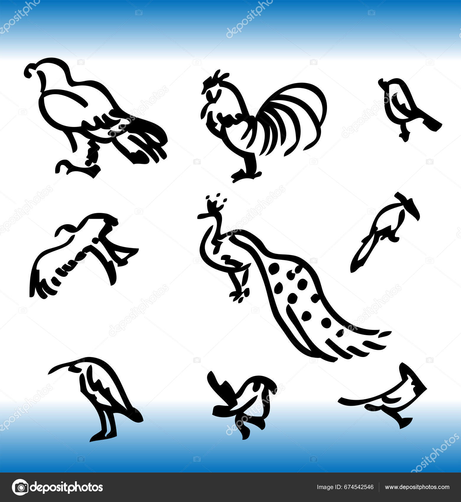 Vector Set Birds Stock Vector by ©DesignPicsInc 674542546 Vector Set Birds Stock Vector by ©DesignPicsInc 674542546