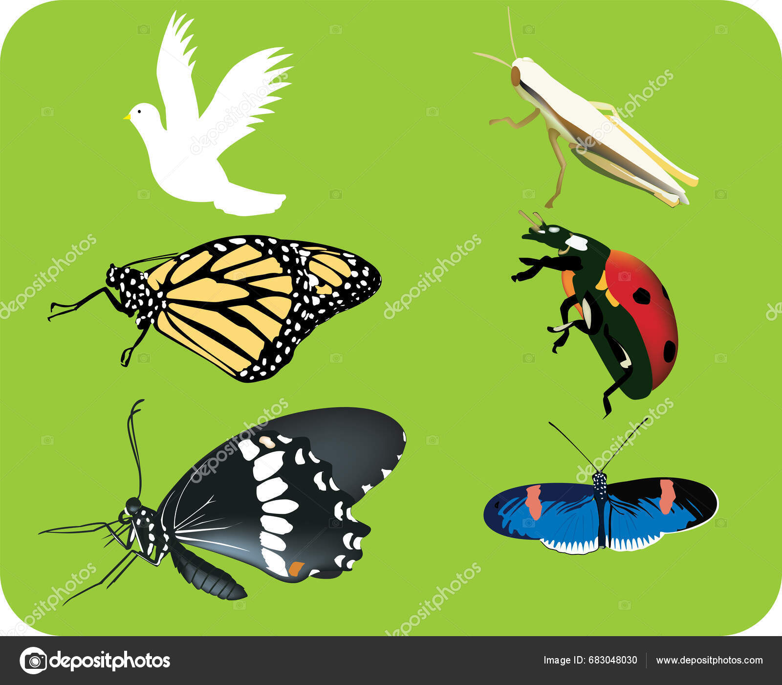 Set Four Colorful Insects Stock Vector by ©DesignPicsInc 683048030