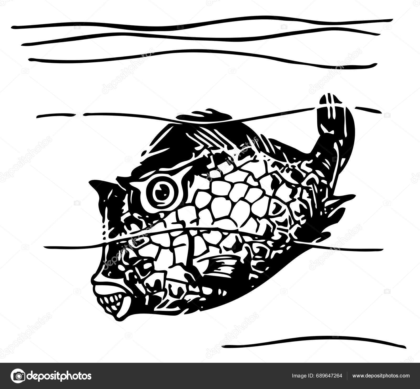 Fish White Background Stock Vector by ©DesignPicsInc 689647264