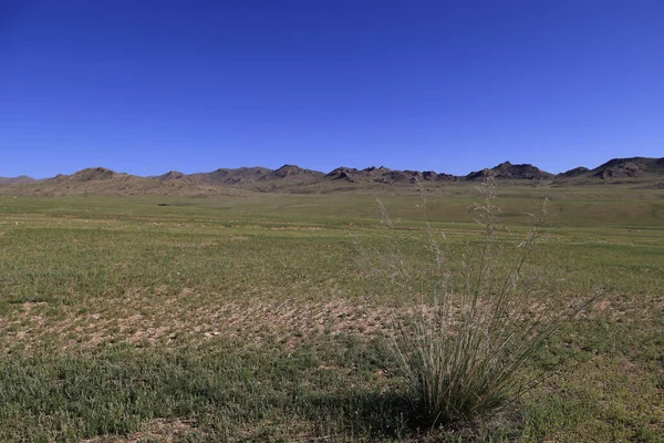 La steppe Stock Photos, Royalty Free La steppe Images | Depositphotos