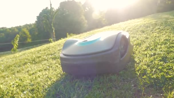Close Autonomous Lawn Mower Moving Downhill Trimming Grass Backyard ...
