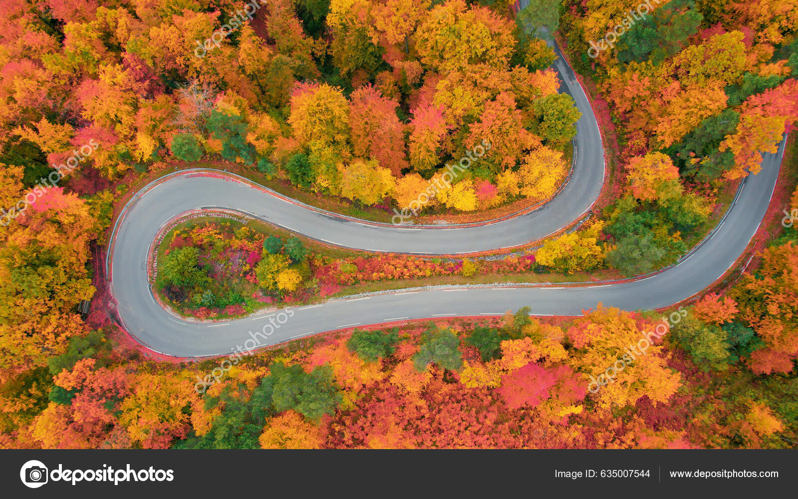 Winding Asphalt Road Autumn Forest Vibrant Colours Curvy Asphalt Road — Stock Photo © Prostock ...