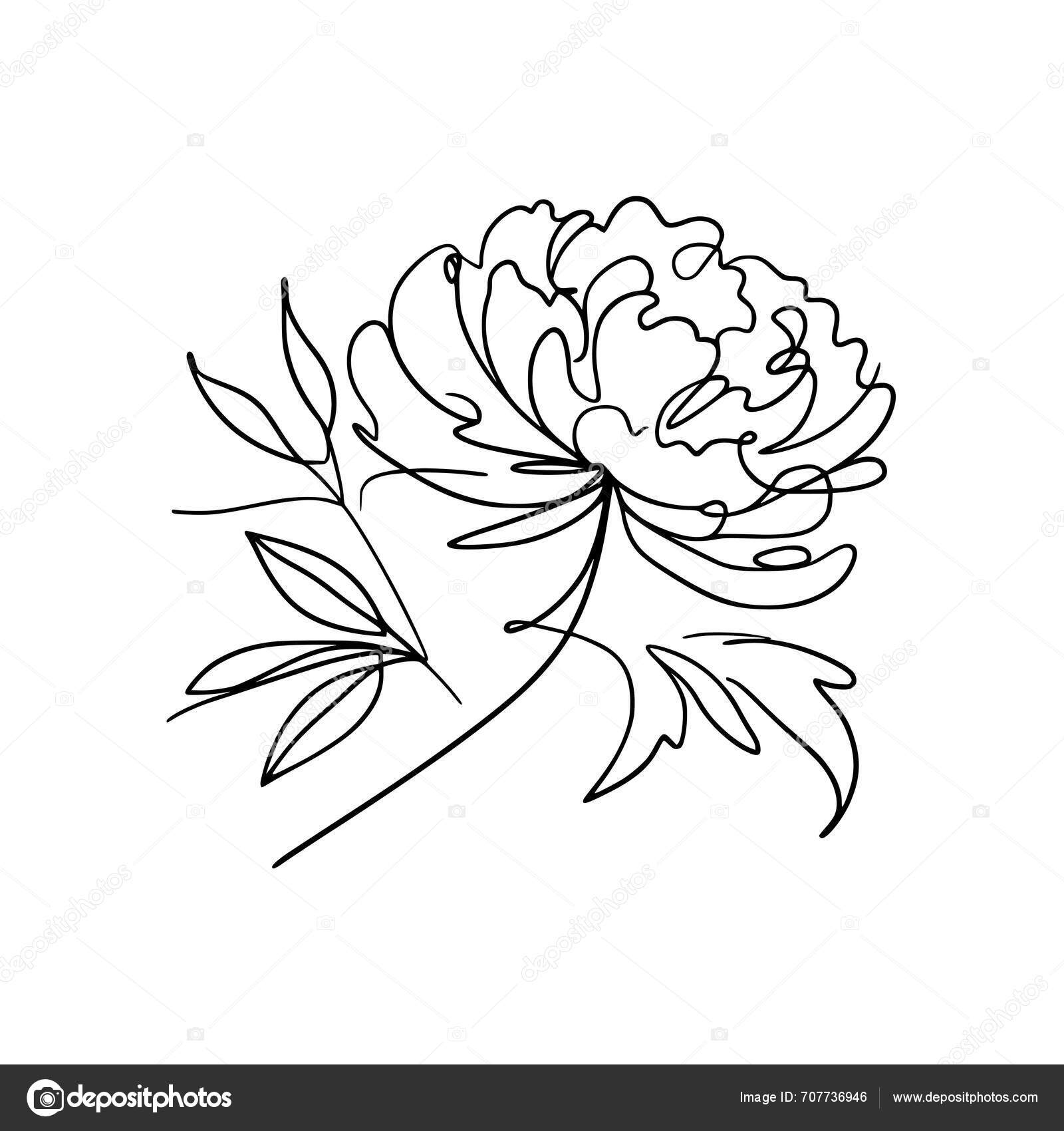 Peony Flower Doodle Illustration Stock Vector by ©grga12 707736946