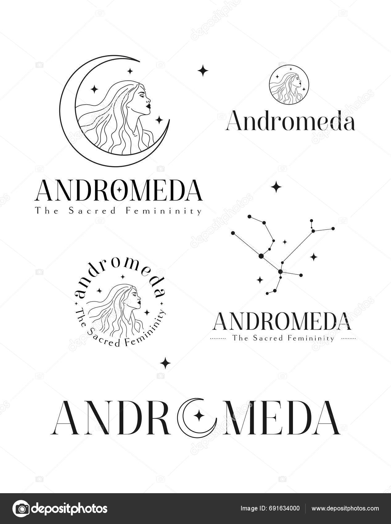 Minimalist Femininity Clean Simple Stellar Design Element Vector ...