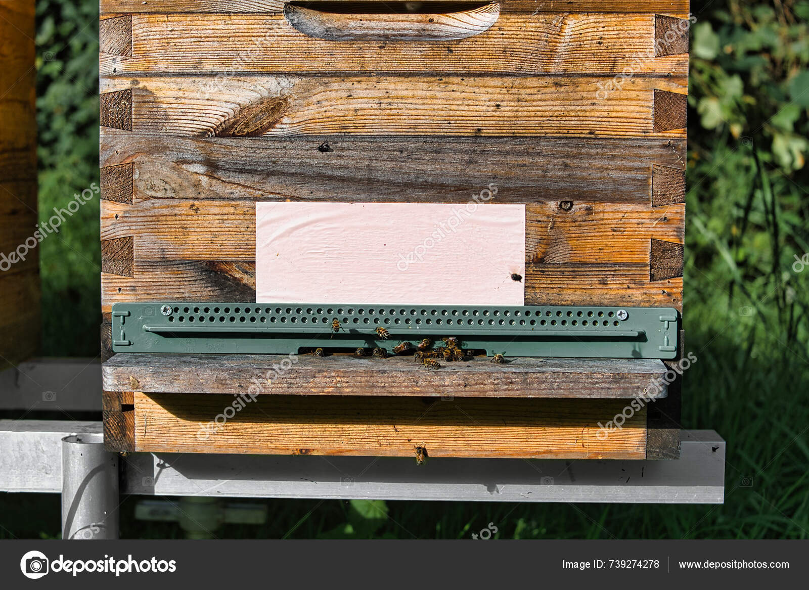 Bee Hive Buddhist Monastery Bees Flying Out High Quality Photo — Stock ...