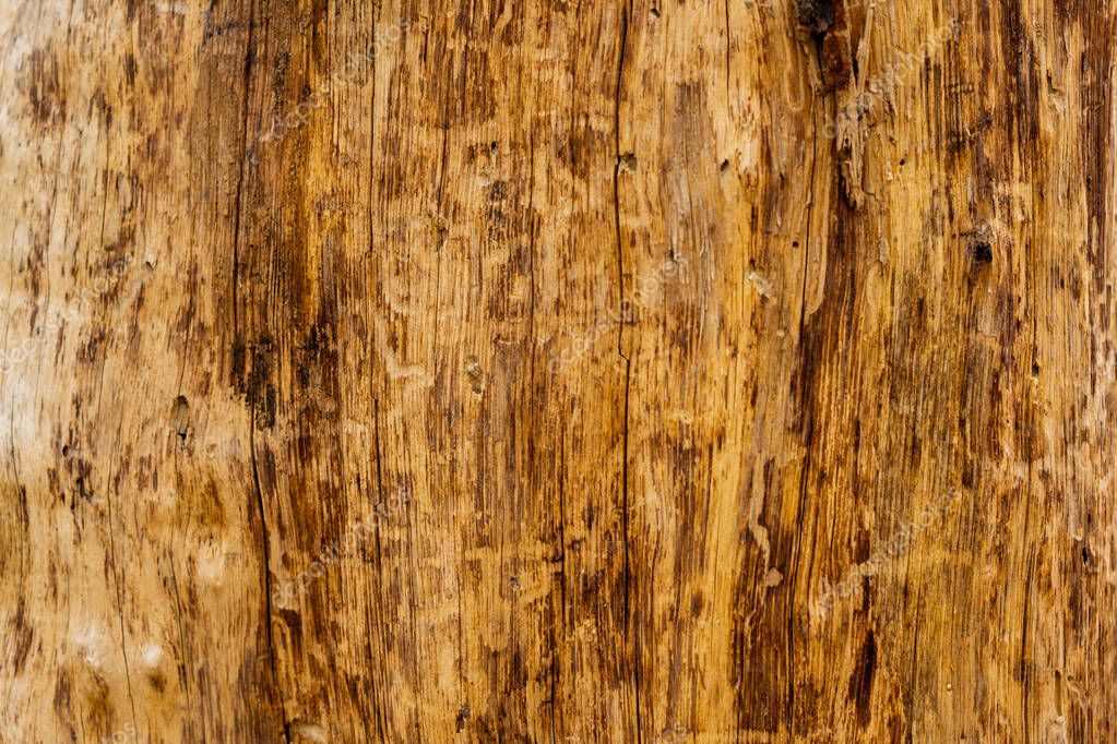 Esta vista de cerca destaca los intrincados detalles y los ricos ...