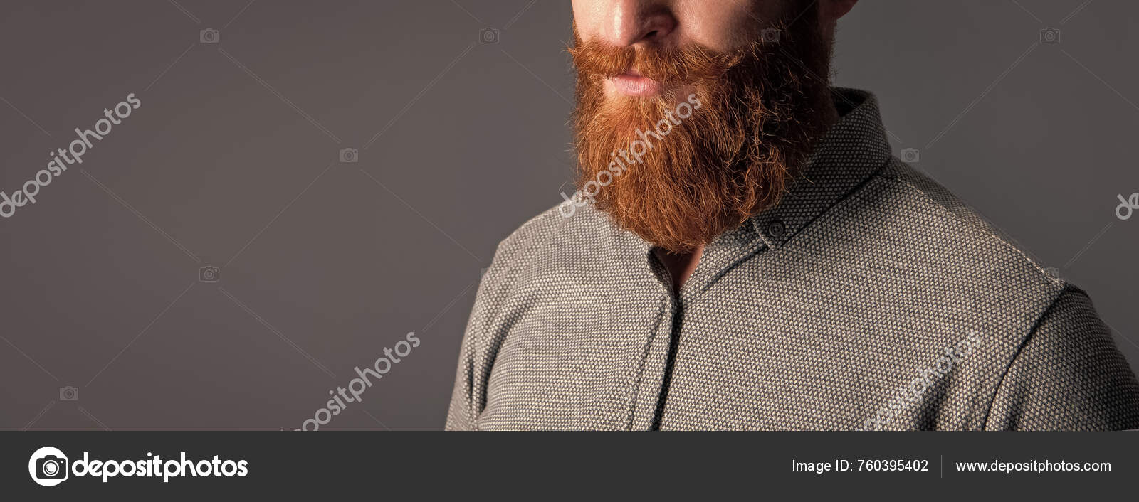 Guy Crop View Long Beard Unshaven Face Stylish Beard Moustache — Stock ...