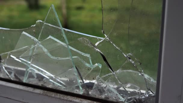 4,109 Porta dentro casa Videos, Royalty-free Stock Porta dentro casa ...