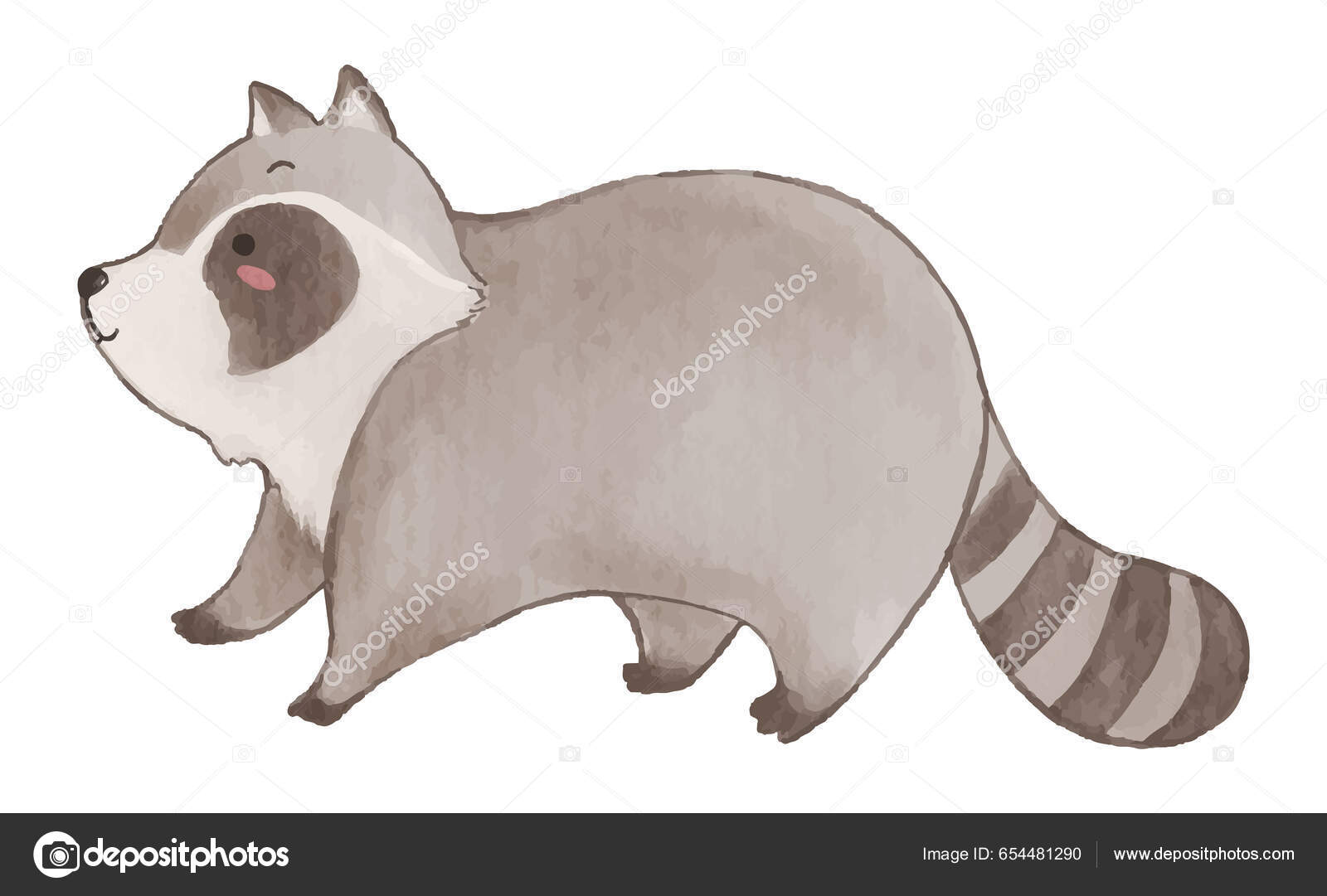 Cute Raccoon Drawing