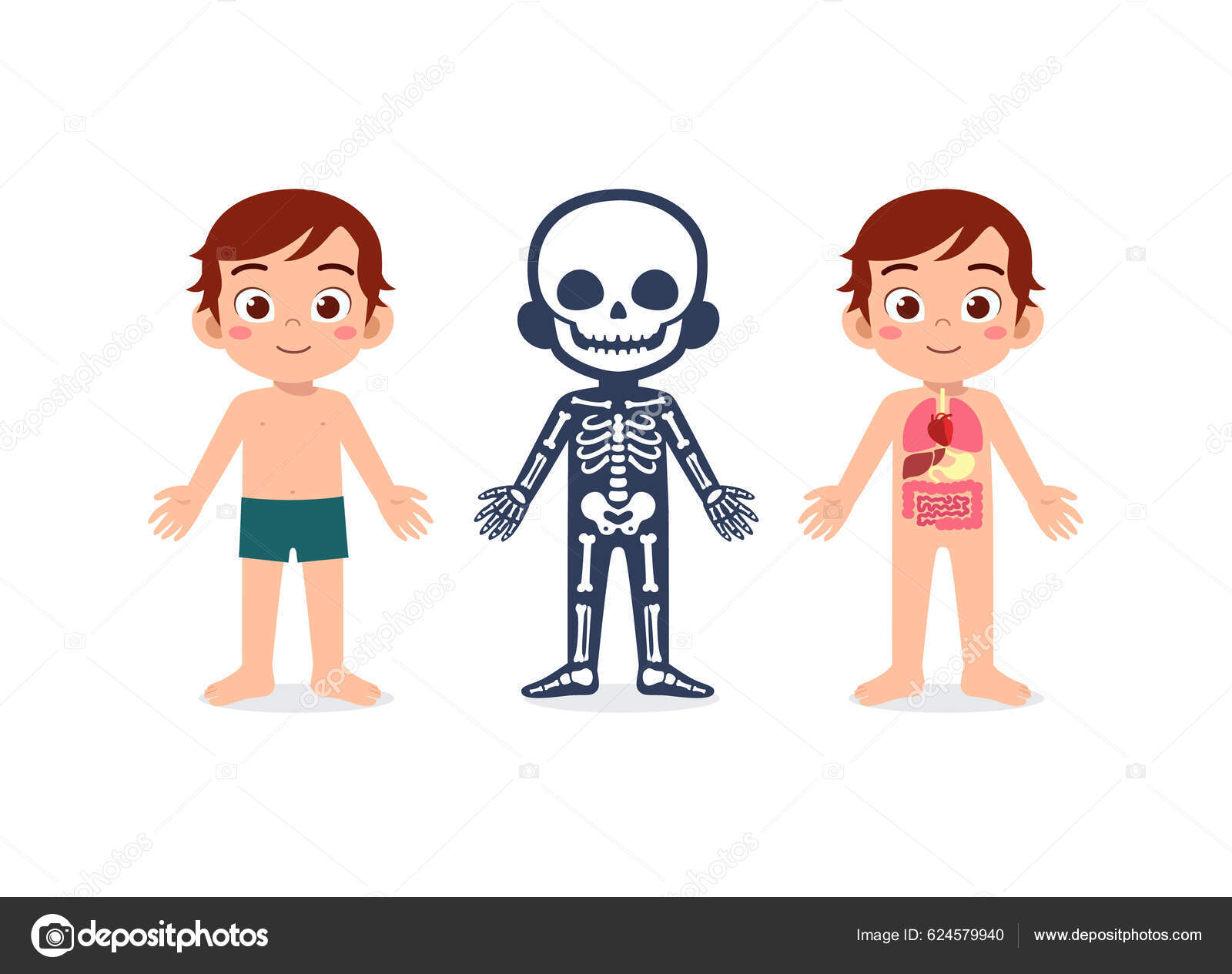 교육을 어린이 스톡 벡터 - ©colorfuelstudio 624579940