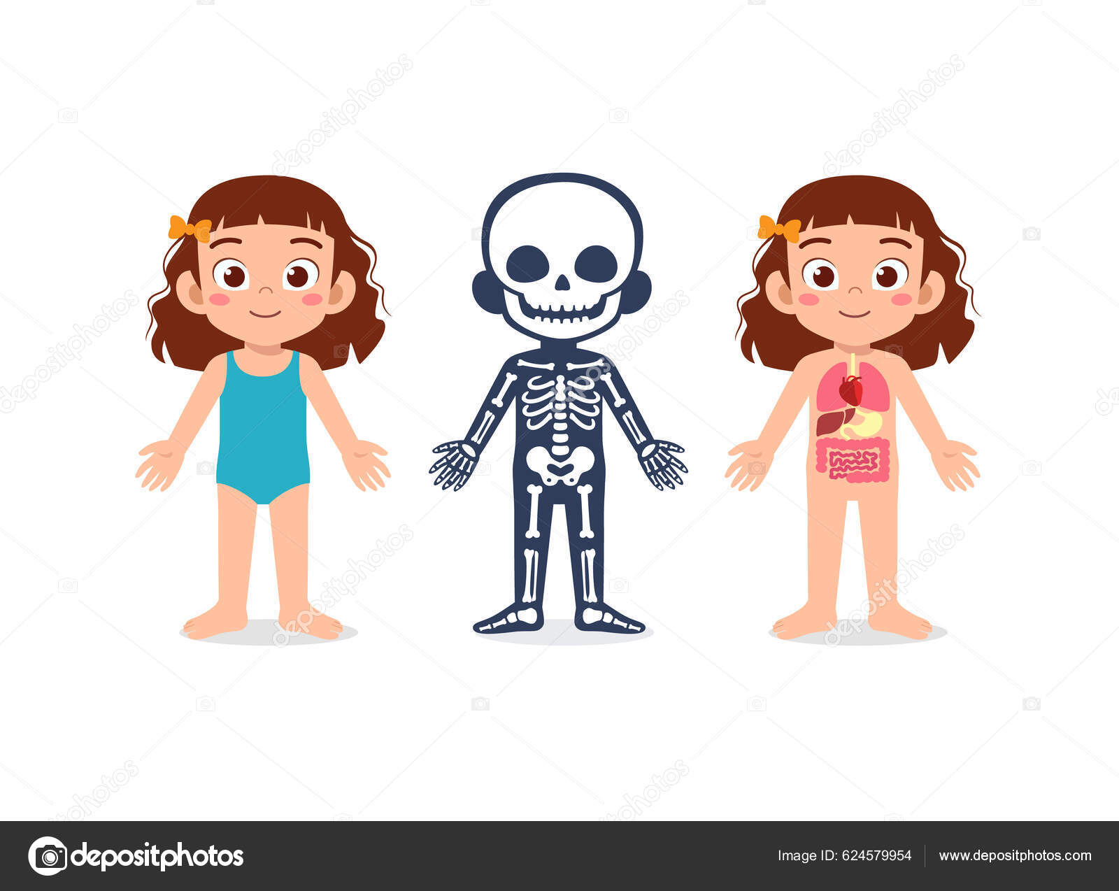 Kid Body Structure Education School Stock Vector by ©colorfuelstudio ...