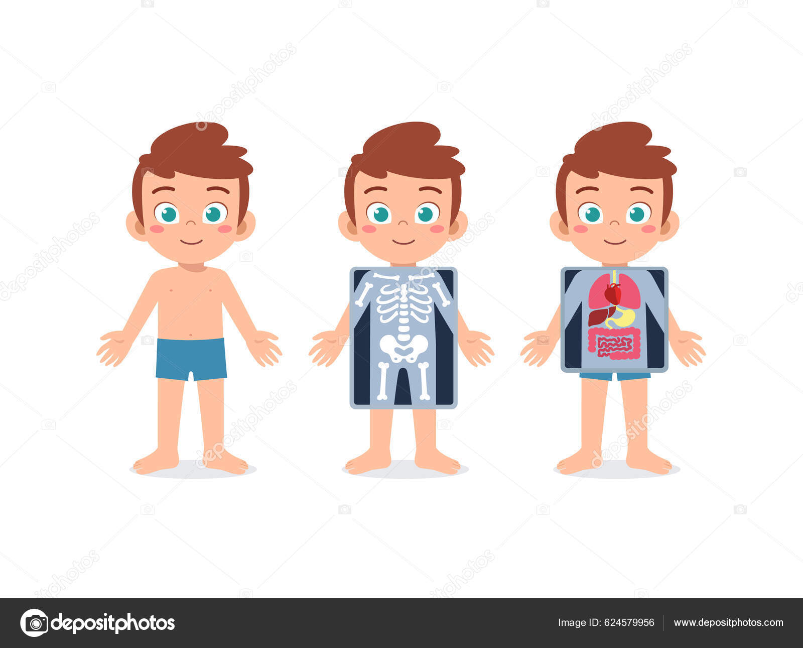 Kid Body Structure Education School Stock Vector by ©colorfuelstudio ...