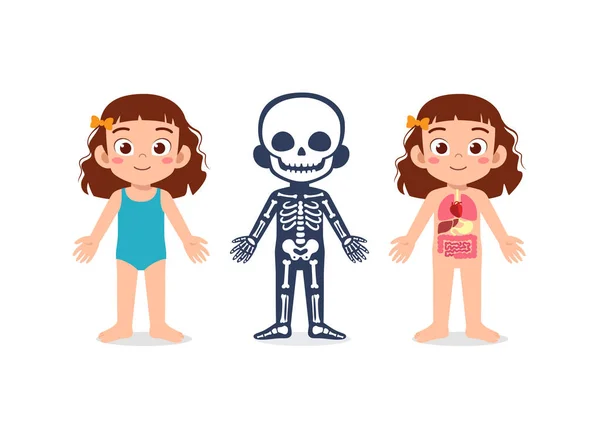 Happy Cute Kid Girl Body Part Anatomy Stock Vector by ©colorfuelstudio ...