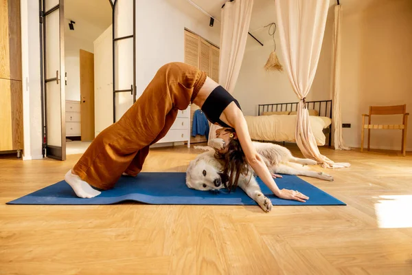 Girl doggy pose Stock Photos, Royalty Free Girl doggy pose Images ...