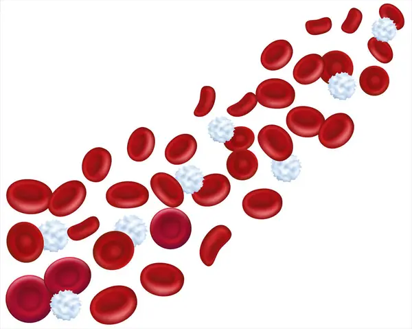 27,007,906 Blood platelets Vector Images | Depositphotos