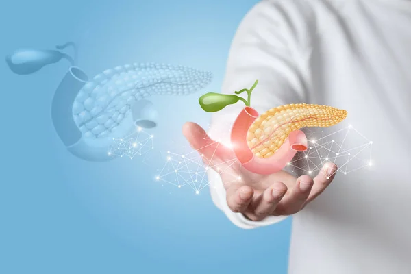 Pancréas images libres de droit, photos de Pancréas | Depositphotos