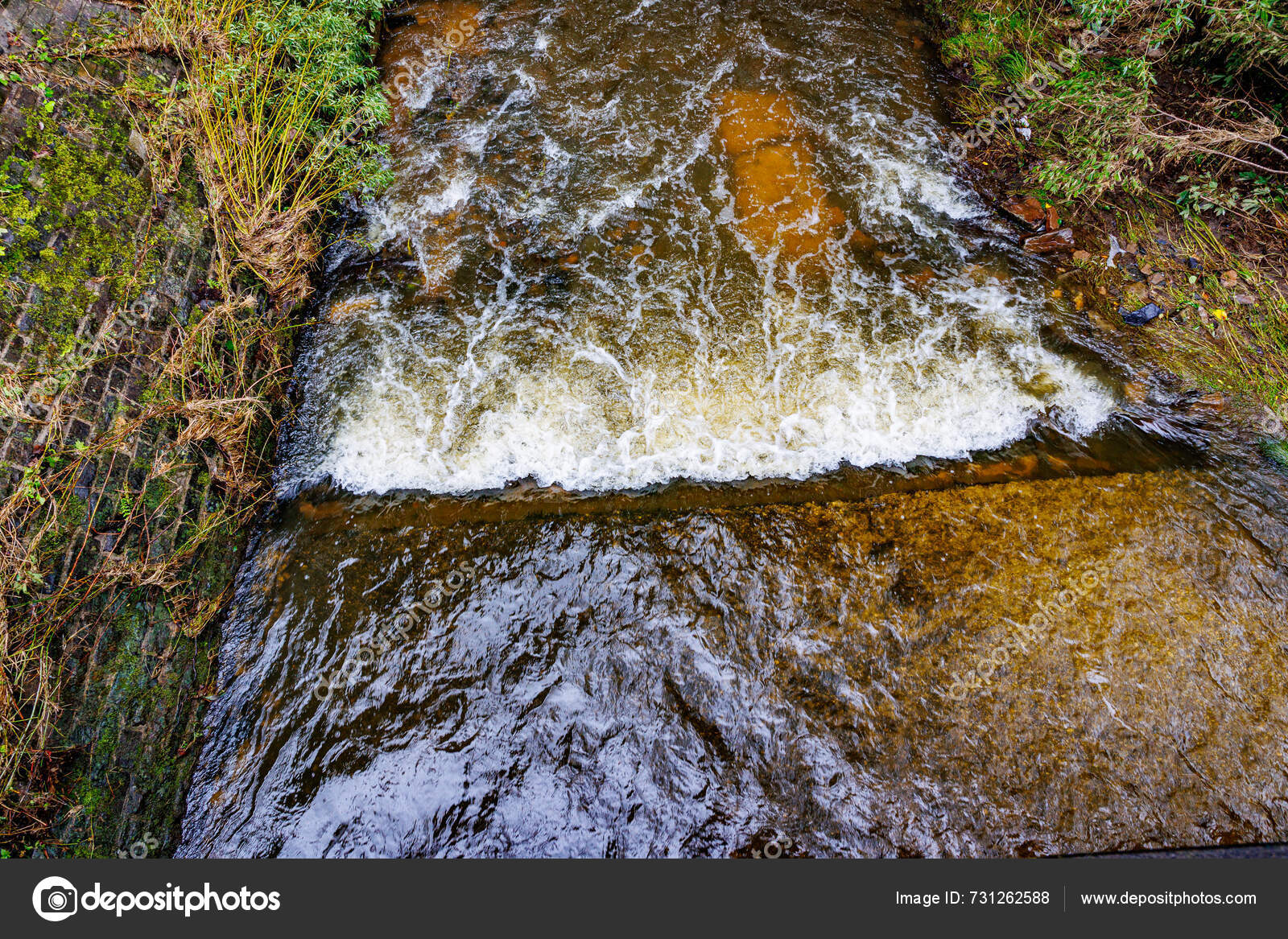 Water Flowing Shallow River Declines Ground Brick Wall Wild Vegetation ...