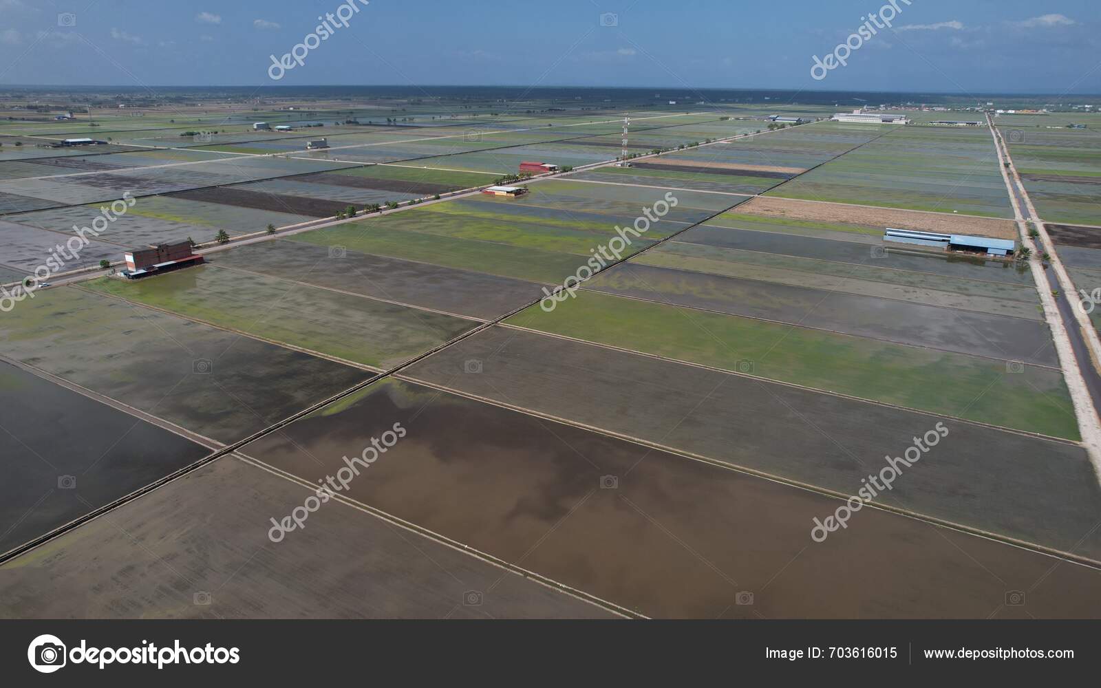 Sekinchan Malaysia February 2024 Aerial View Sekinchan Village Rice ...