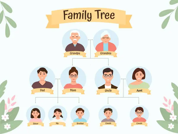 Family Tree Three Generation Grandparents Parents Children Vector Illustration Stock Vector by ...